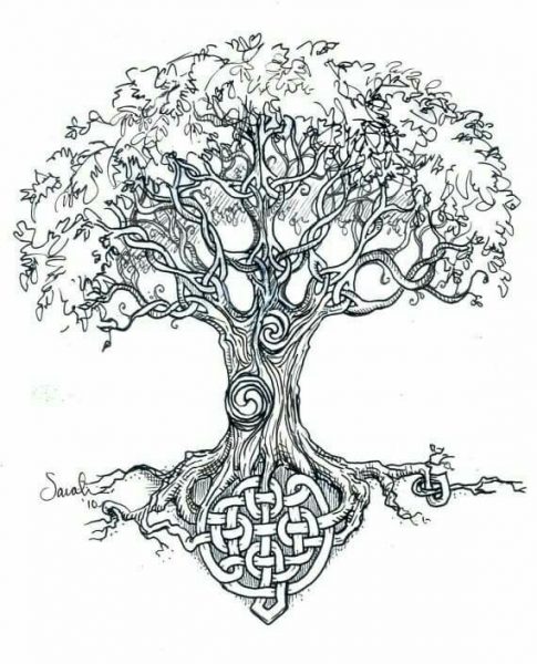 Celtic Tree of Life - Meaning, History & Symbols