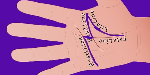 Palmistry Money Line - Here's How To Read Your Palm Lines For Money